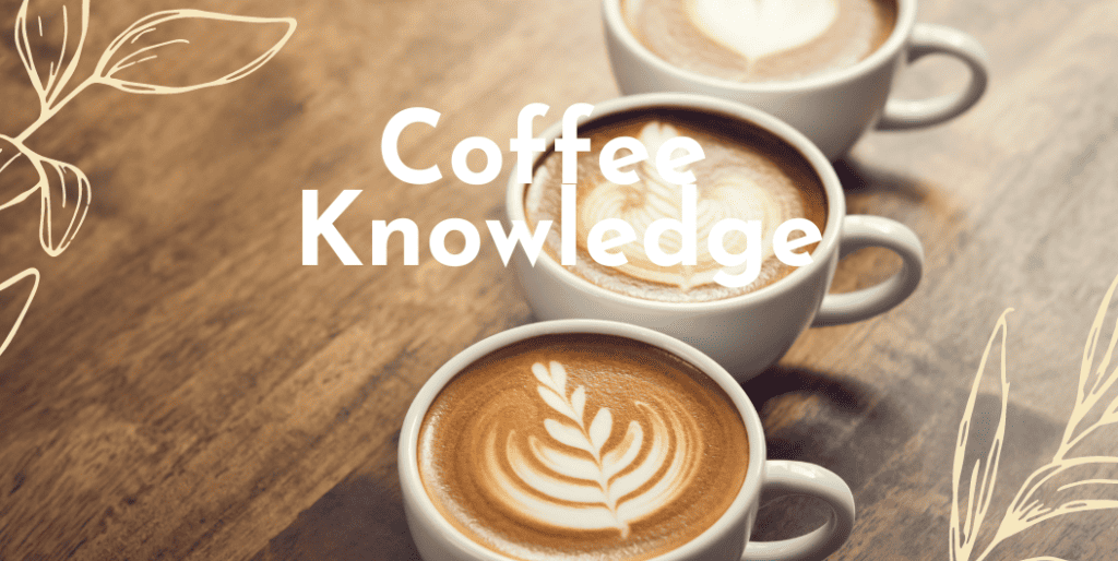 Coffee Knowledge: Everything You Need to Know About the Culture ...