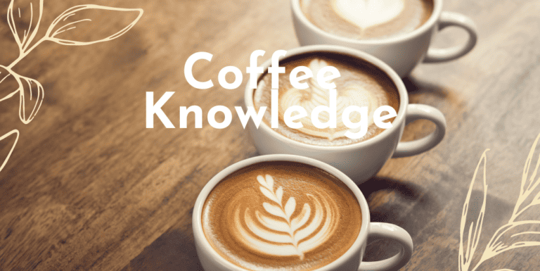 Coffee Knowledge: Everything You Need to Know About the Culture ...